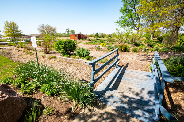 Homer Adams Park - Experience Godfrey: Uncover Events, Attractions, and ...