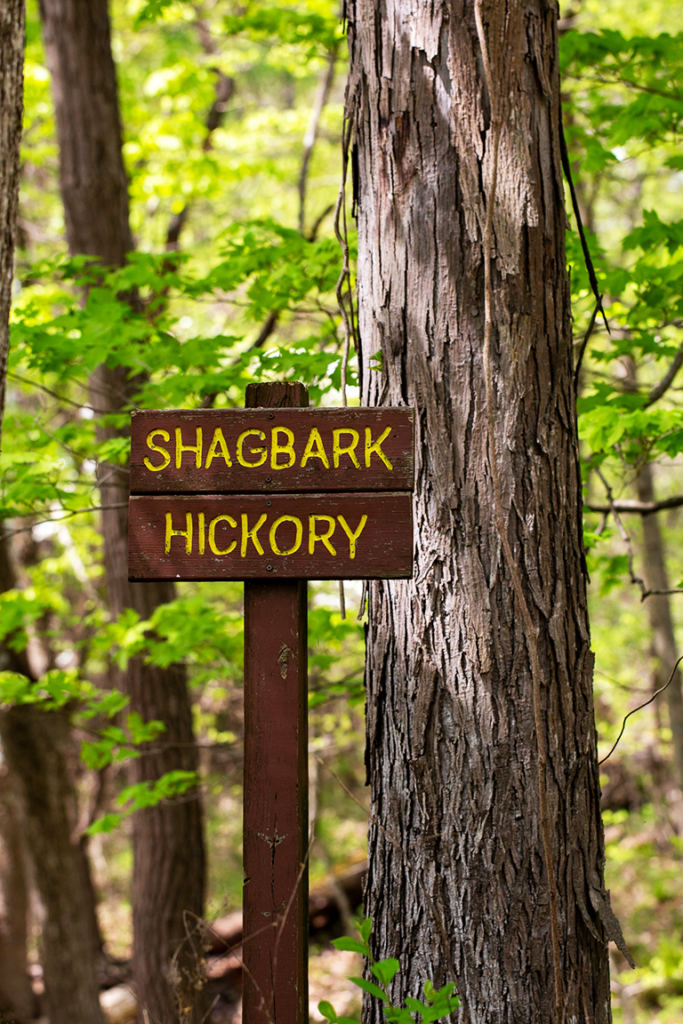 The Nature Institute - Experience Godfrey: Uncover Events, Attractions ...