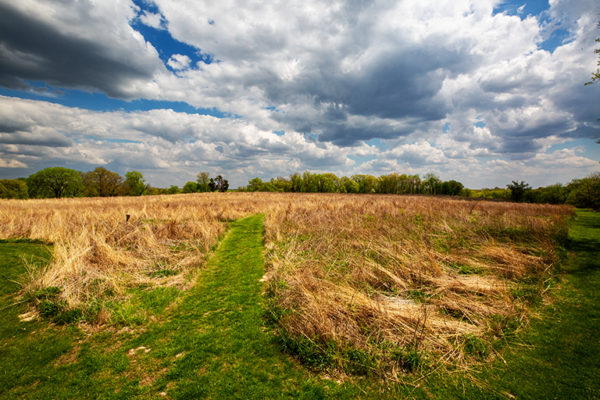 The Nature Institute - Experience Godfrey: Uncover Events, Attractions ...