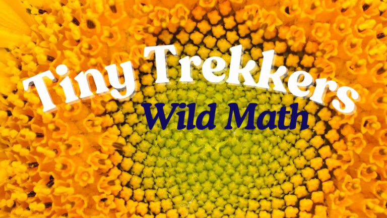 Home - Experience Godfrey: Uncover Events, Attractions, and Adventures ...